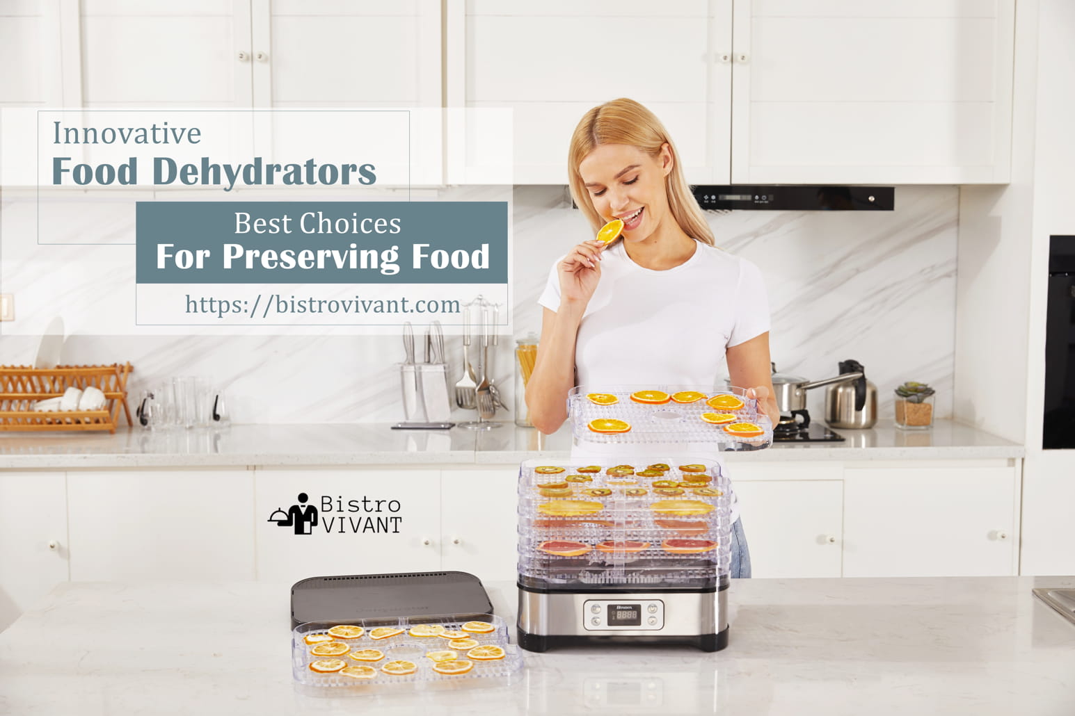 Innovative Food Dehydrators: Preserving Freshness Made Simple